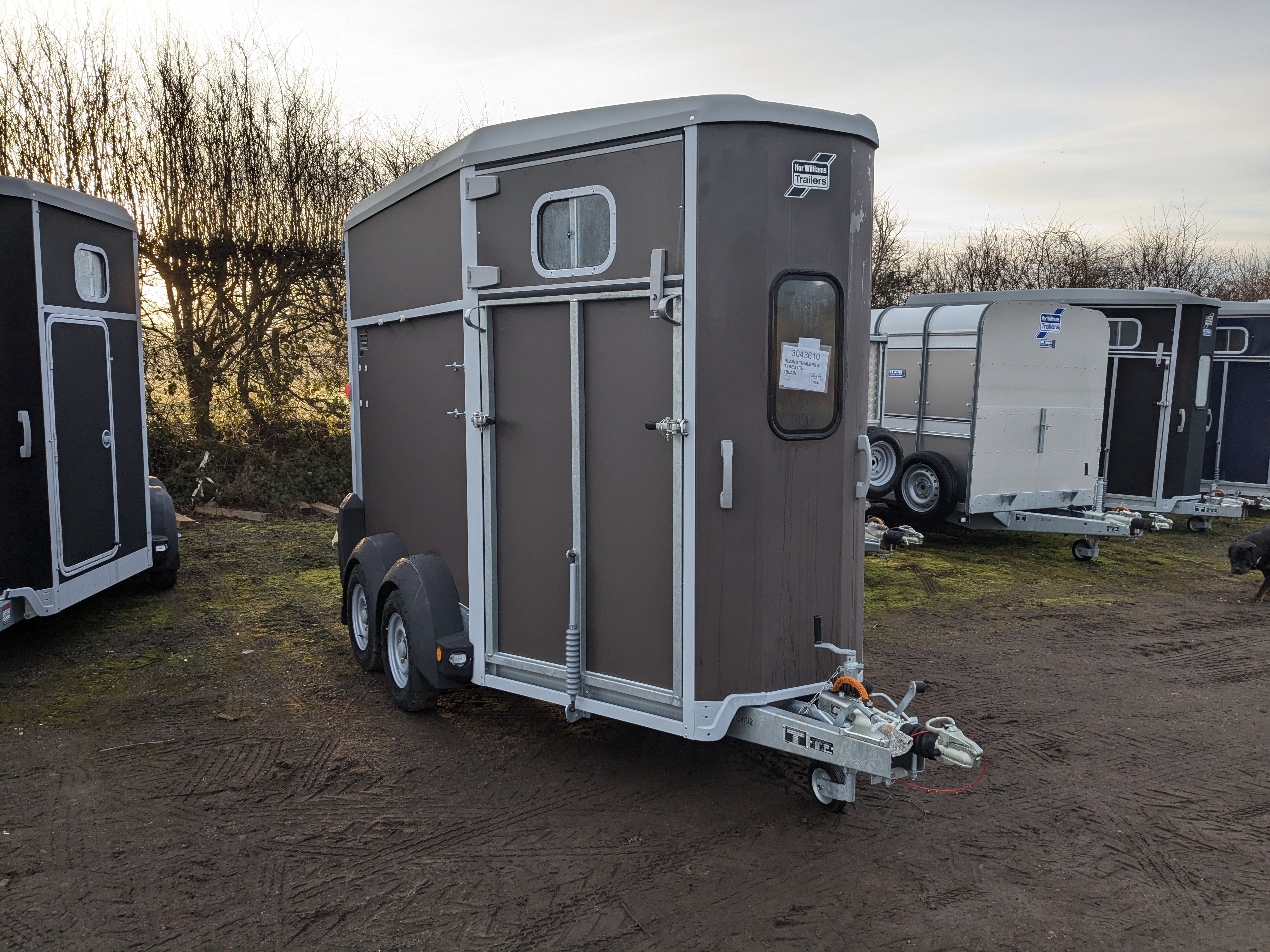 Ifor Williams HB506 Graphite Grey Horsebox – Blains Trailers & Tyres